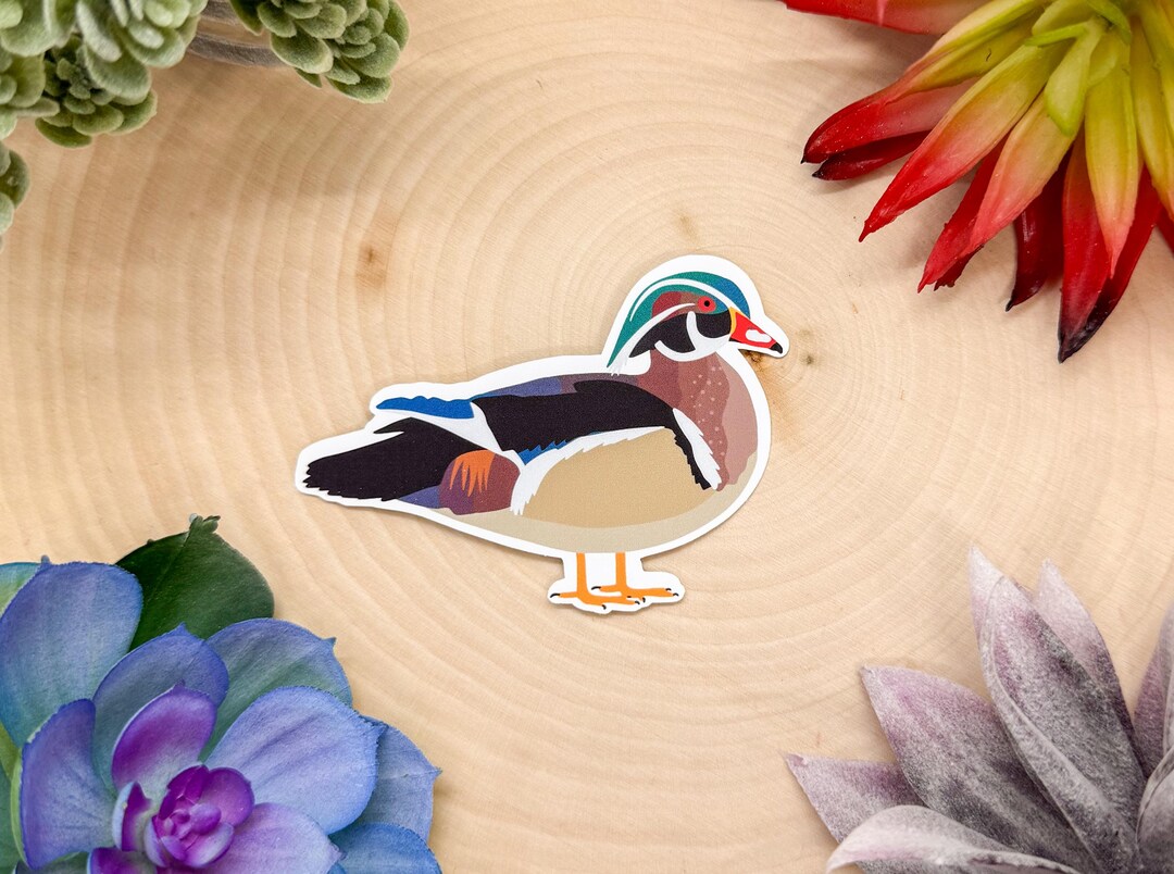 Wood Duck Sticker, Bird Sticker, Birdwatching Sticker, Birding Sticker ...