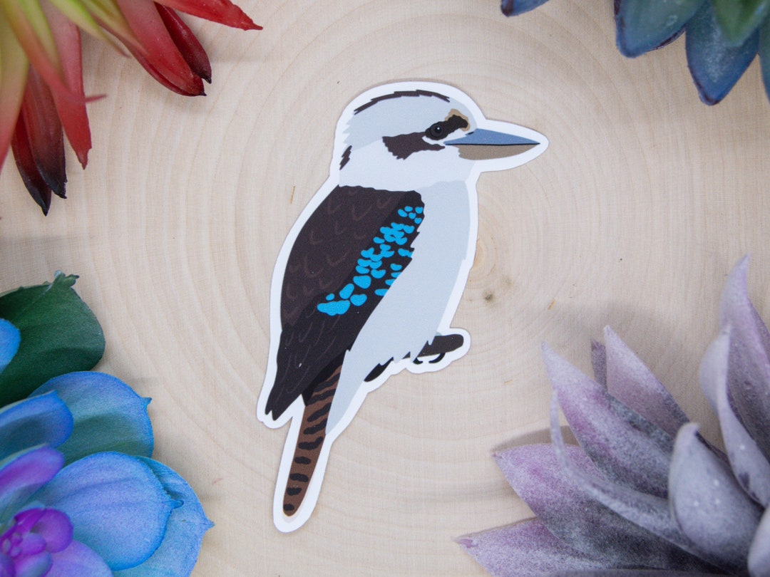 Kookaburra Sticker, Bird Sticker, Birdwatching Sticker, Birding Sticker ...
