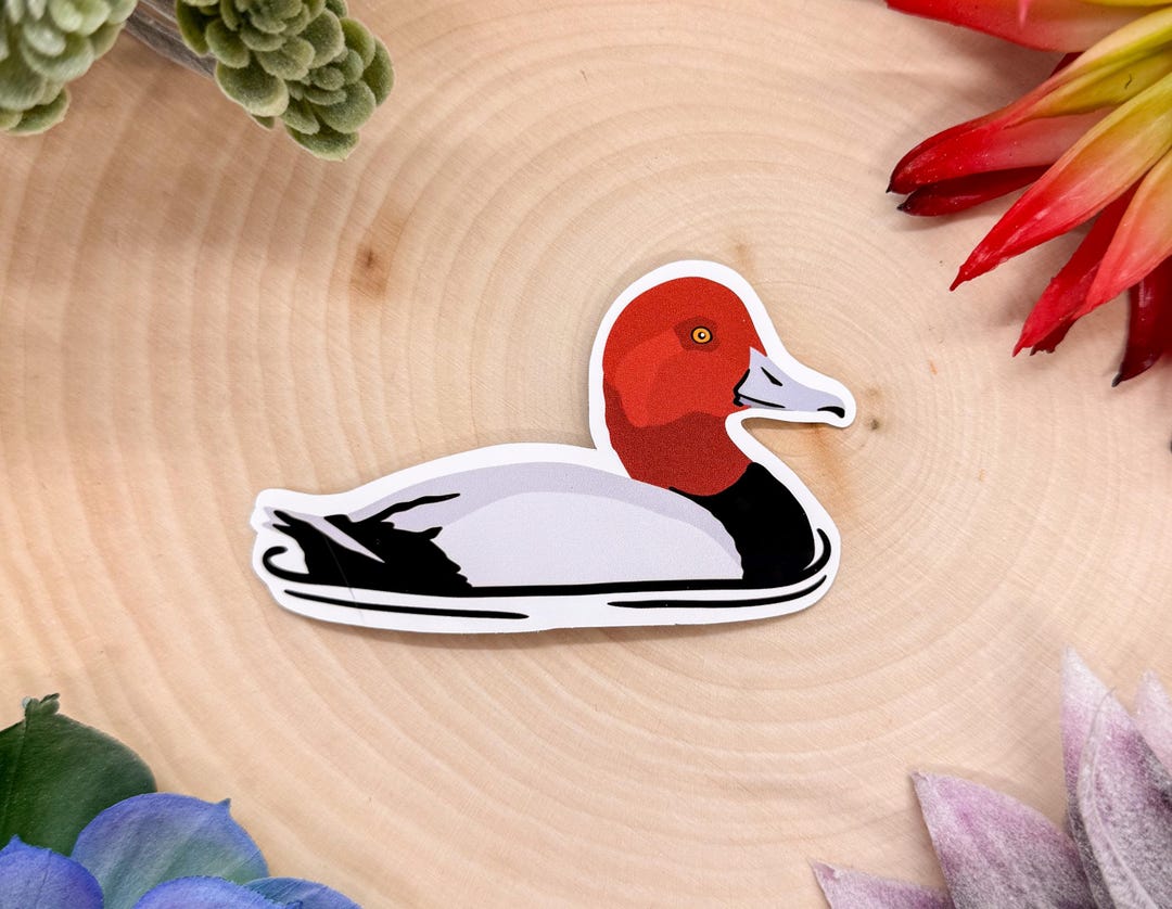 Redhead Duck Sticker, Bird Sticker, Birdwatching Sticker, Birding ...