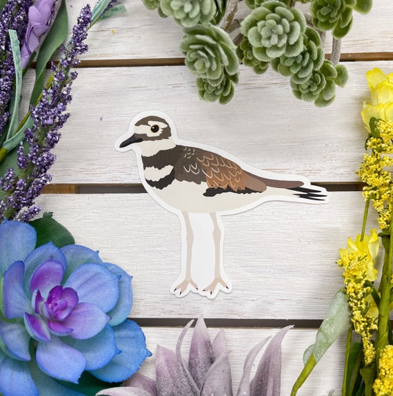 Killdeer Sticker Bird Sticker Birdwatching Sticker Killdeer | Etsy