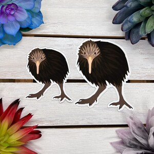 Kiwi Bird Sticker, Bird Sticker, Birdwatching Sticker, Birding Sticker ...