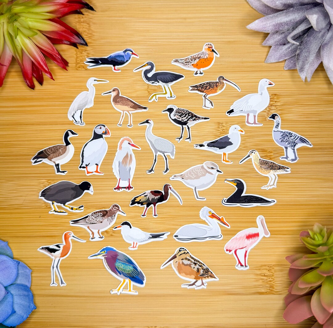 Water Bird Sticker Pack, Mini Bird Sticker Pack, Bird Journal Stickers ...