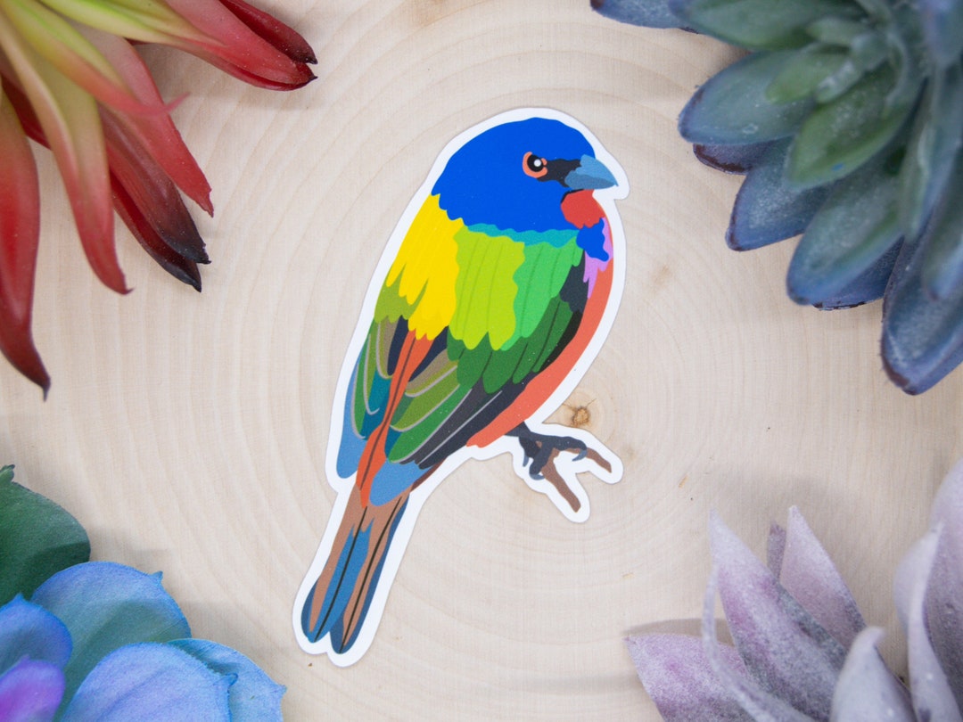 Painted Bunting Sticker, Bird Sticker, Birdwatching Sticker, Birding ...