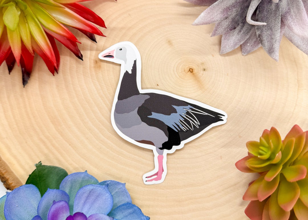 Snow Goose Blue Morph Sticker, Snow Goose Decal, Snow Goose Gift, Snow ...