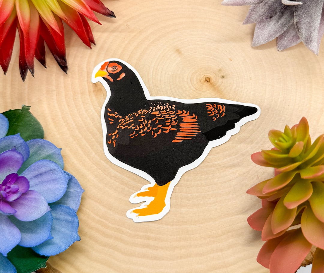 Cornish Chicken Sticker, Cornish Chicken Decal, Cornish Gift, Chicken ...