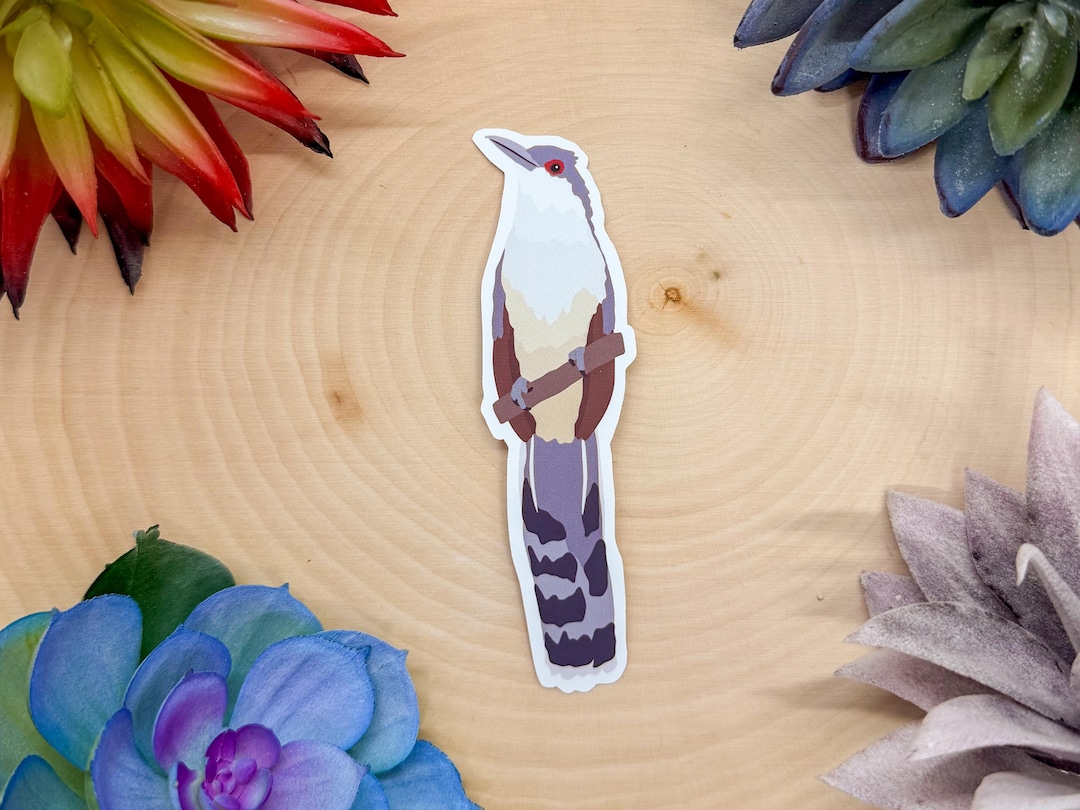 Great Lizard Cuckoo Sticker, Great Lizard Cuckoo Decal, Great Lizard ...