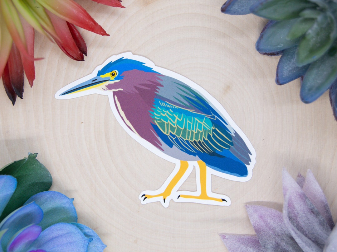 Green Heron Sticker, Bird Sticker, Birdwatching Sticker, Birding ...