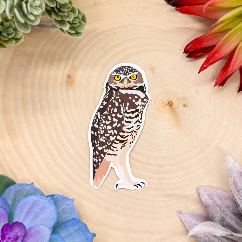Burrowing Owl Art Prints - Etsy