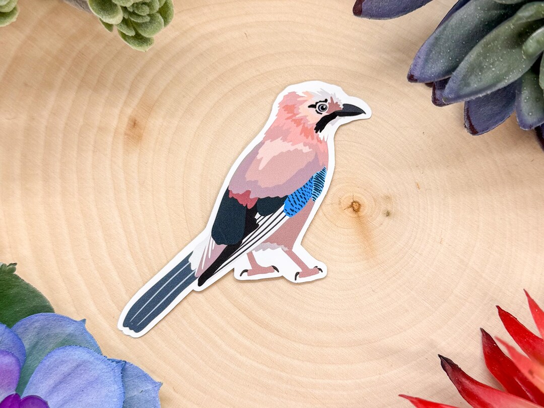 Eurasian Jay Sticker, Eurasian Jay Decal, Eurasian Jay Gift, Eurasian ...