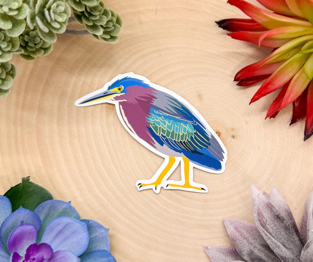 Green Heron Sticker, Bird Sticker, Birdwatching Sticker, Birding ...