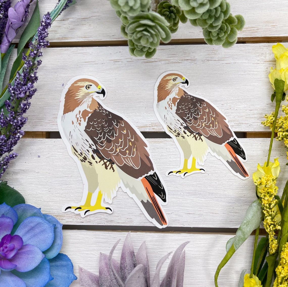 Red Tailed Hawk Sticker Bird Sticker Birdwatching Sticker - Etsy