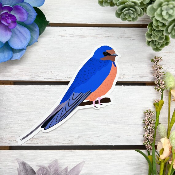Barn Swallow Sticker Barn Swallow Decal Barn Swallow Gift - Etsy