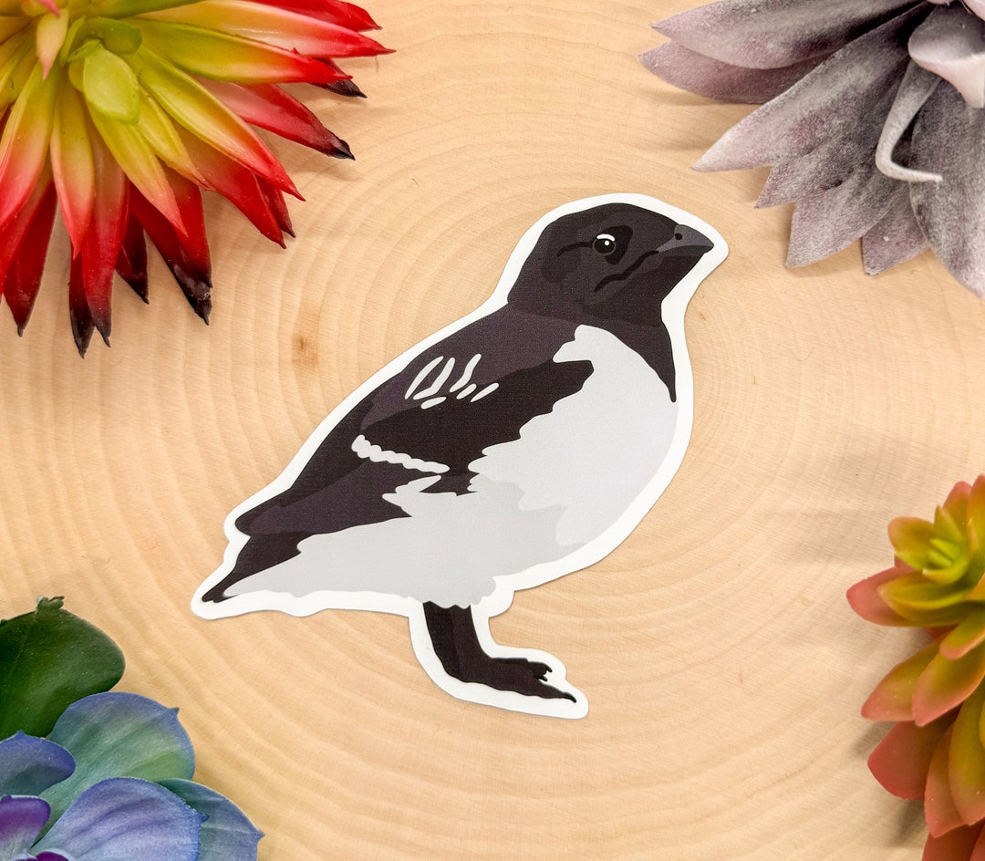 Dovekie Sticker, Dovekie Decal, Dovekie Bird Gift, Dovekie Bird Decor ...