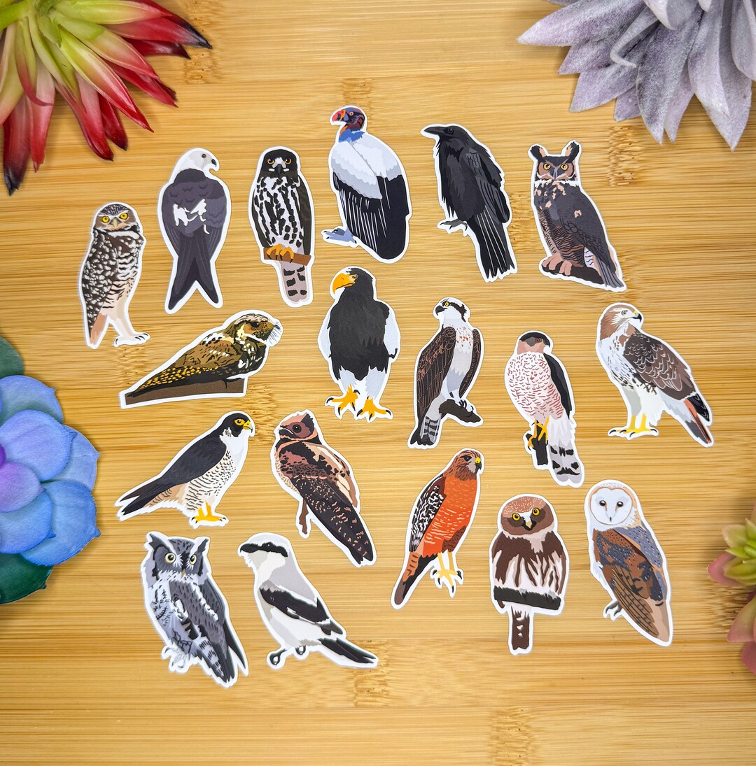 Birds of Prey Sticker Pack, Mini Bird Sticker Pack, Bird Journal ...