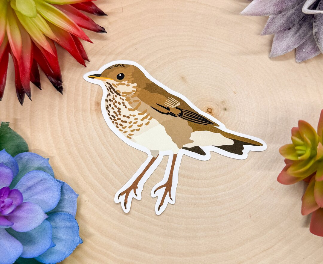 Gray Cheeked Thrush Sticker, Gray Cheeked Thrush Decal, Thrush Bird ...