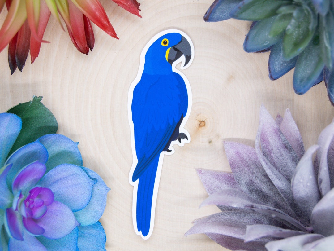 Hyacinth Macaw Sticker, Hyacinth Macaw Decal, Hyacinth Macaw Gift ...