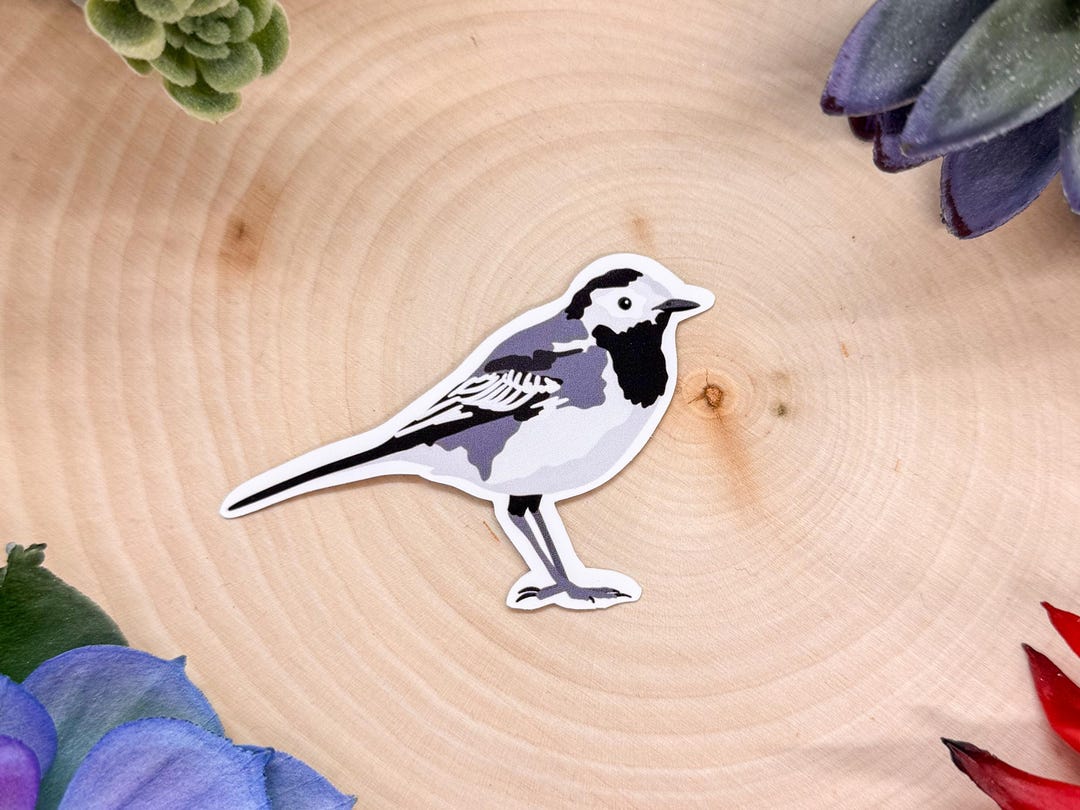 White Wagtail Sticker, White Wagtail Decal, White Wagtail Gift, Common ...