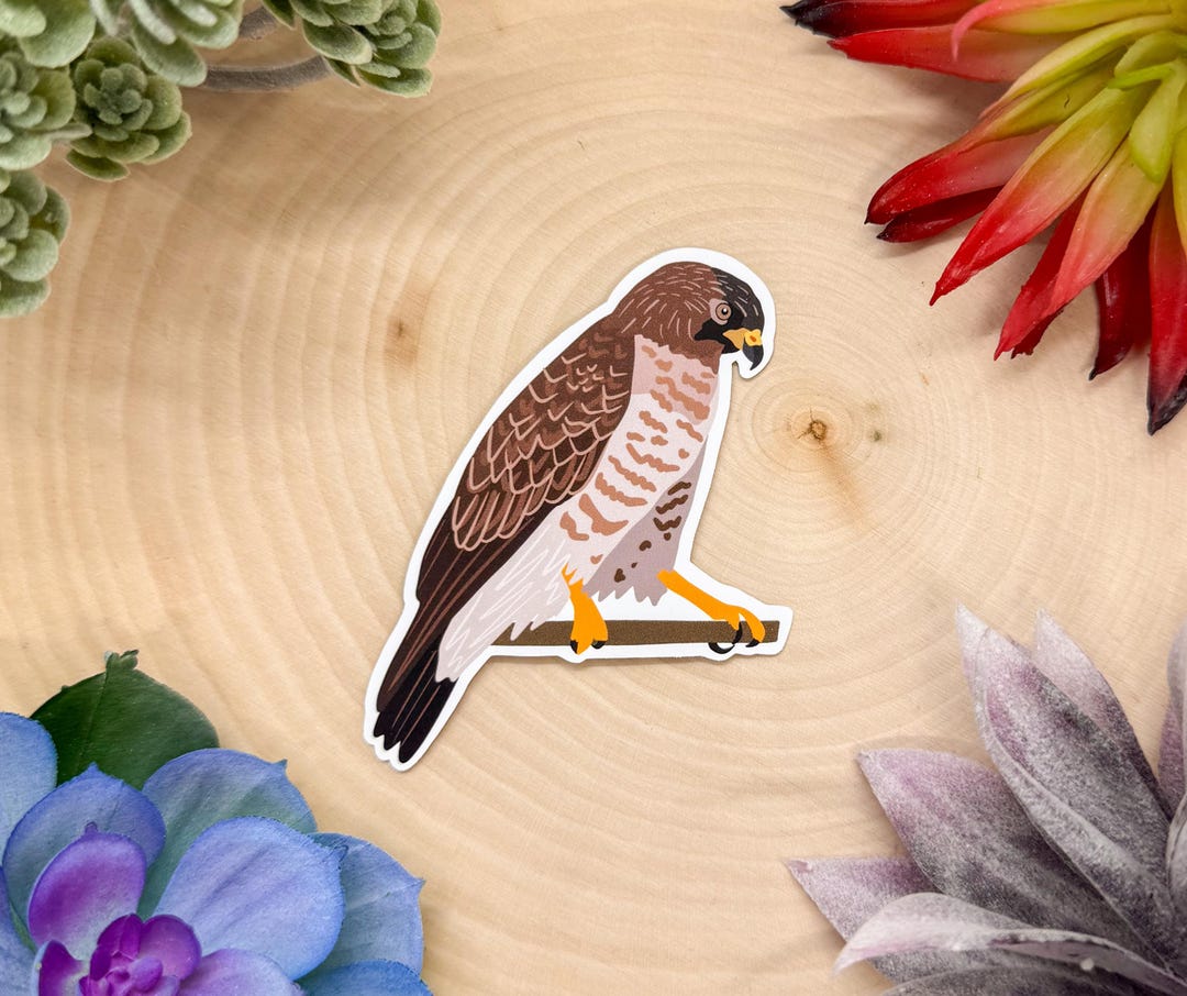 Broad Winged Hawk Sticker, Hawk Decal, Hawk Decor, Hawk Sticker, Hawk ...