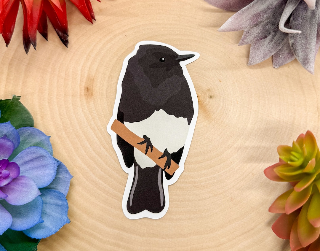 Black Phoebe Sticker, Black Phoebe Decal, Black Phoebe Gift, Black ...