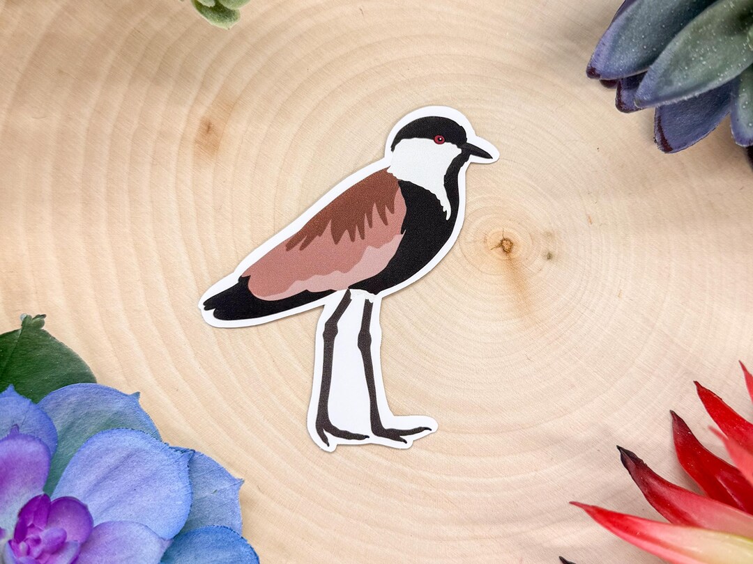 Spur Winged Lapwing Sticker, Spur Winged Lapwing Decal, Spur Winged ...