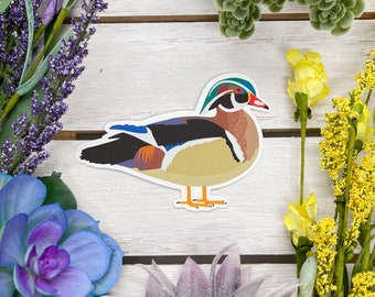 Wood Duck Sticker - Etsy