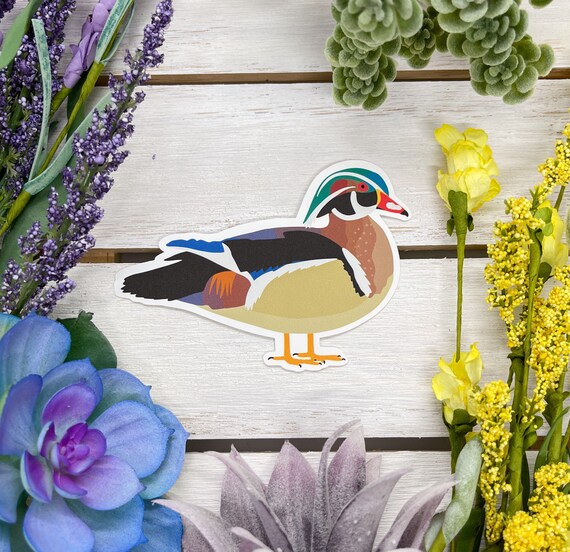 Wood Duck Sticker Bird Sticker Birdwatching Sticker Birding - Etsy