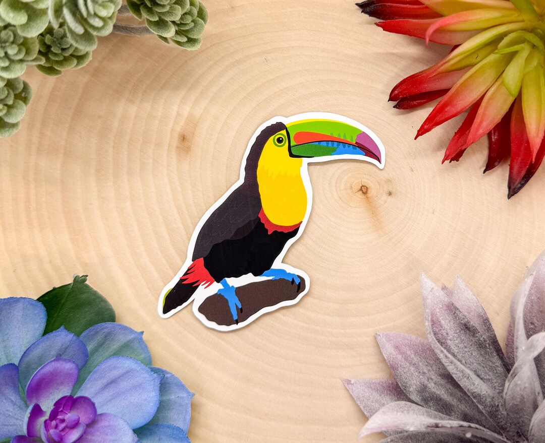 Keel Billed Toucan Sticker, Bird Sticker, Birdwatching Sticker, Birding ...