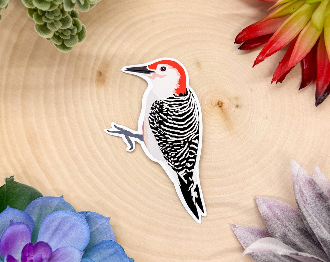 Red Bellied Woodpecker Sticker, Bird Sticker, Birdwatching Sticker ...