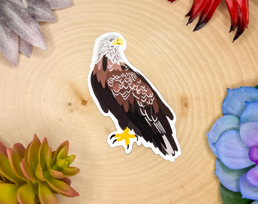 White Tailed Eagle Sticker, Sea Eagle Decal, White Tailed Eagle Gift ...