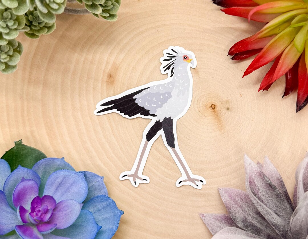 Secretary Bird Sticker, Bird Sticker, Birdwatching Sticker, Birding ...