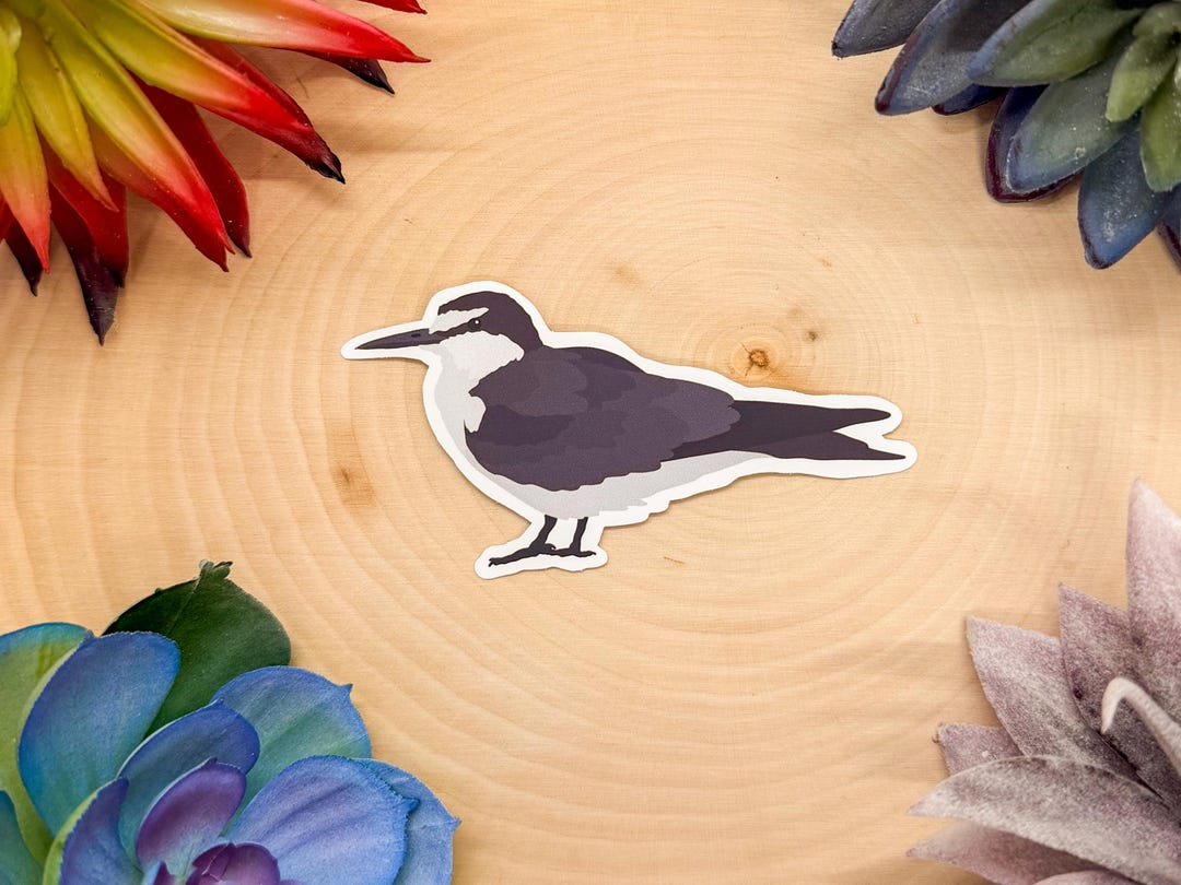 Bridled Tern Sticker, Bridled Tern Decal, Bridled Tern Bird, Bridled ...