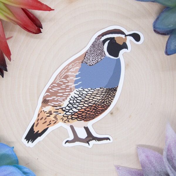 Quail Stickers - Etsy