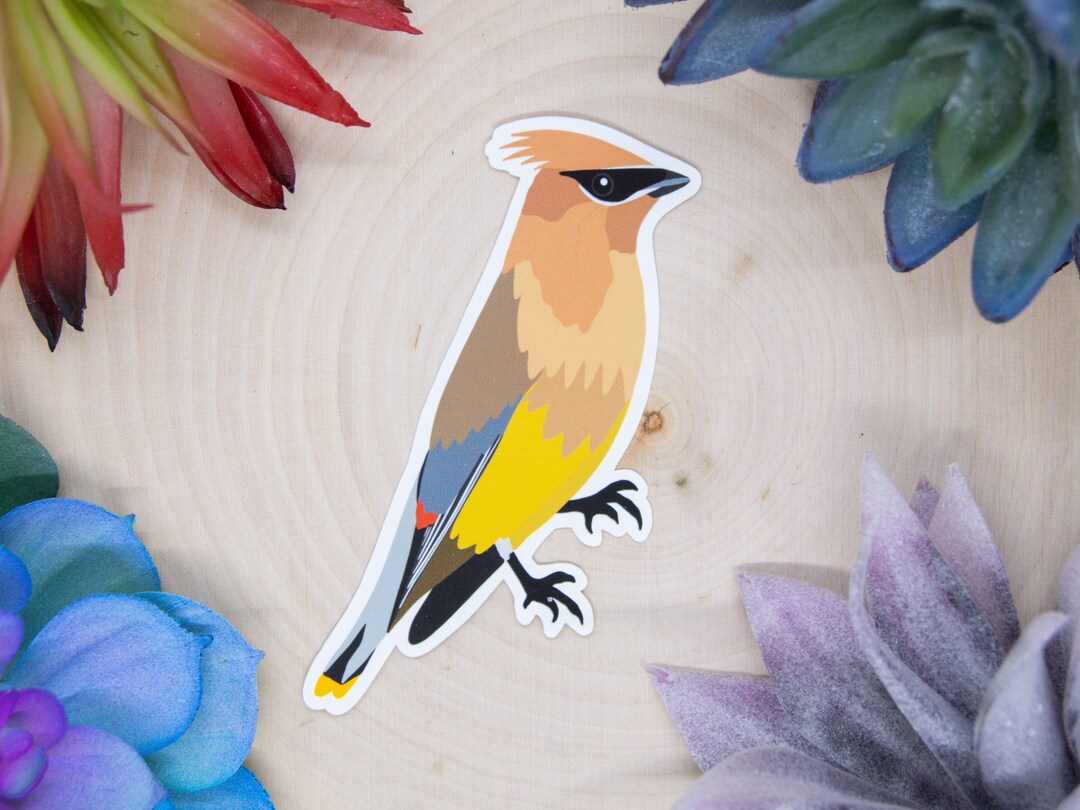 Cedar Waxwing Sticker, Bird Sticker, Birdwatching Sticker, Birding ...