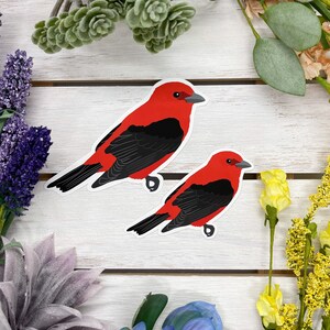 Scarlet Tanager Sticker, Bird Sticker, Birdwatching Sticker, Birding ...
