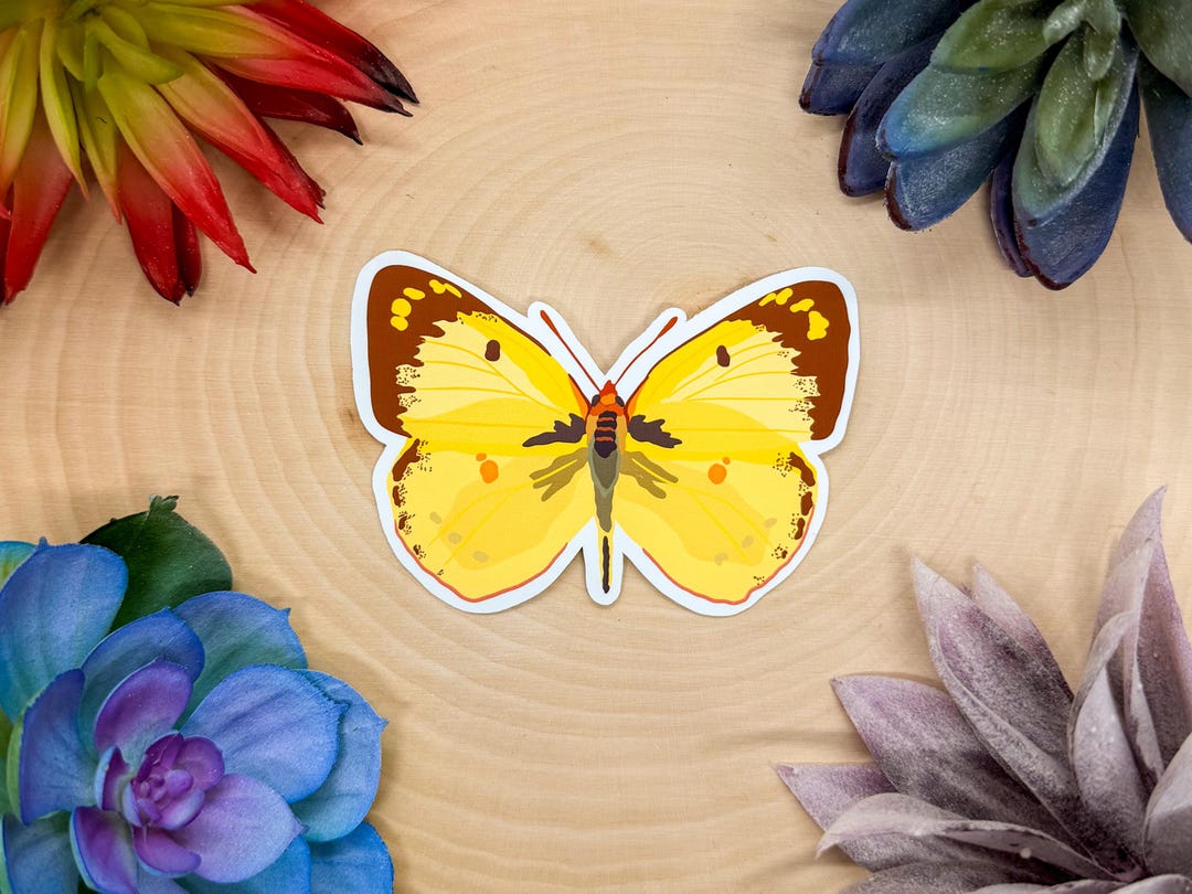 Clouded Sulphur Sticker, Butterfly Sticker, Insect Sticker, Insect ...