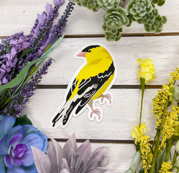 American Goldfinch Sticker Bird Sticker Birdwatching - Etsy