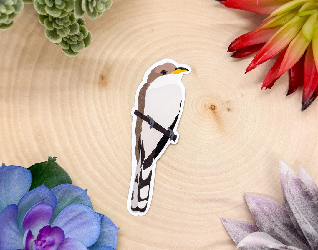 Yellow Billed Cuckoo Sticker, Yellow Billed Cuckoo Decal, Yellow Billed ...