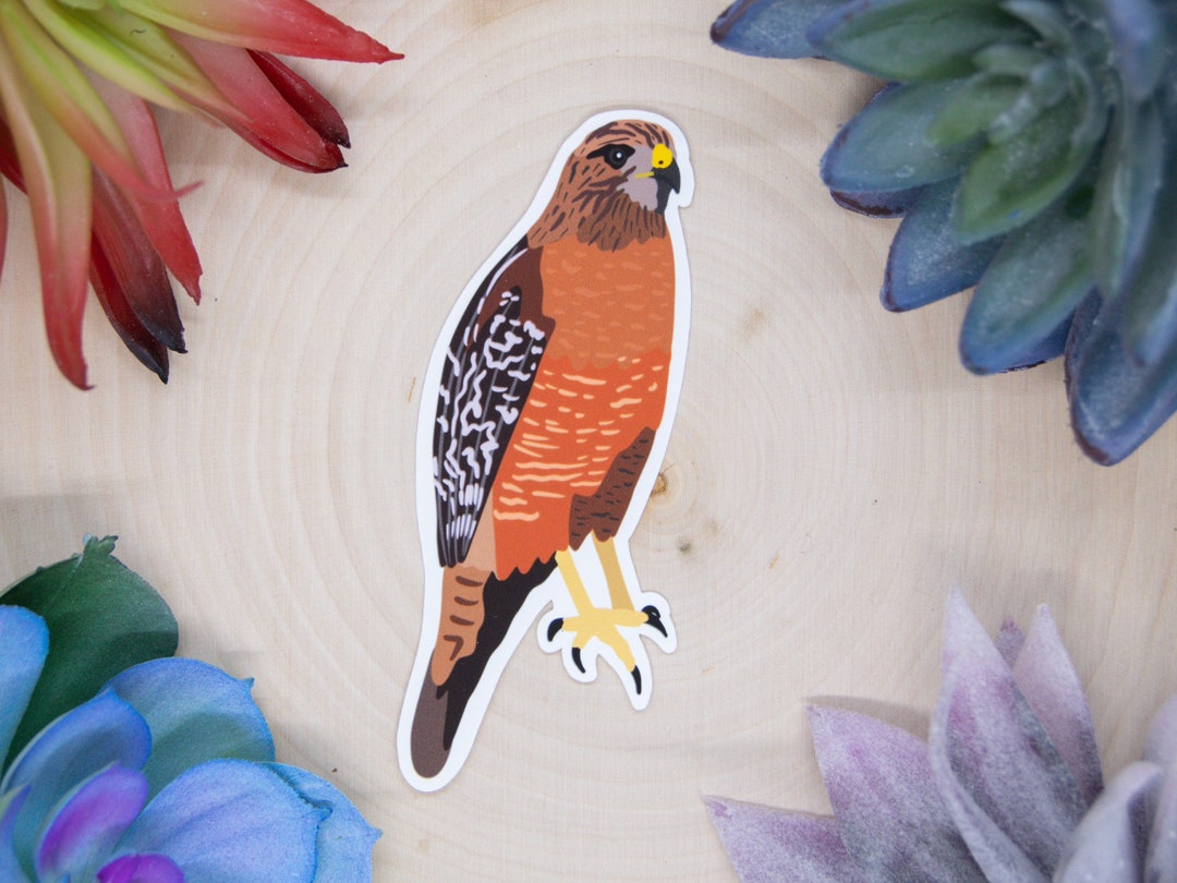 Red Shouldered Hawk Sticker, Red Shouldered Hawk Decal, Hawk Sticker ...