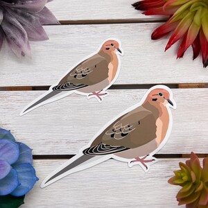 Mourning Dove Sticker, Mourning Dove Decal, Mourning Dove Gift ...