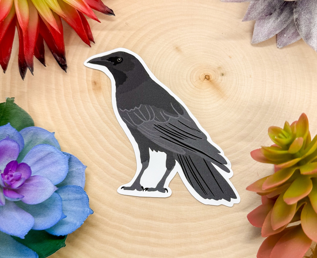 American Crow Sticker, American Crow Decal, American Crow Gift ...