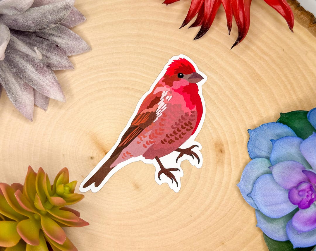 Purple Finch Sticker, Purple Finch Decal, Purple Finch Gift, Purple ...