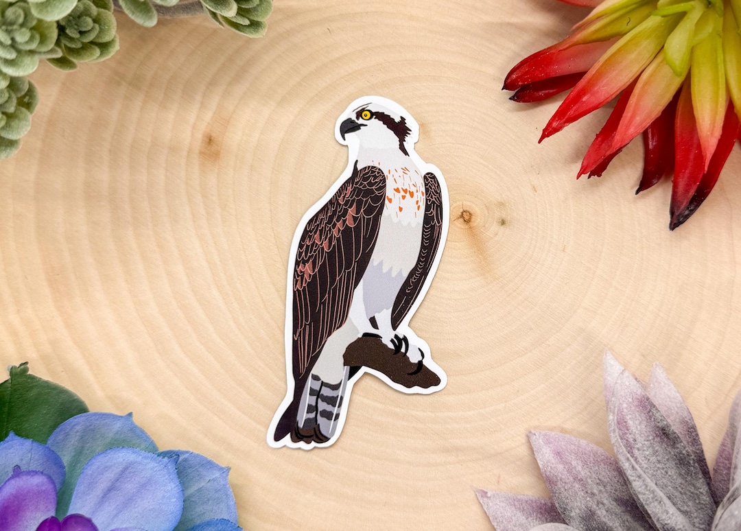 Osprey Sticker, Bird Sticker, Birdwatching Sticker, Birding Sticker ...