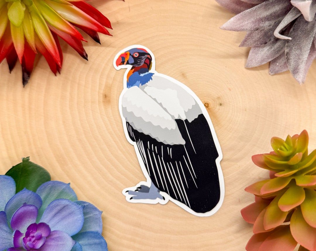 King Vulture Sticker, King Vulture Decal, King Vulture Gift, King ...