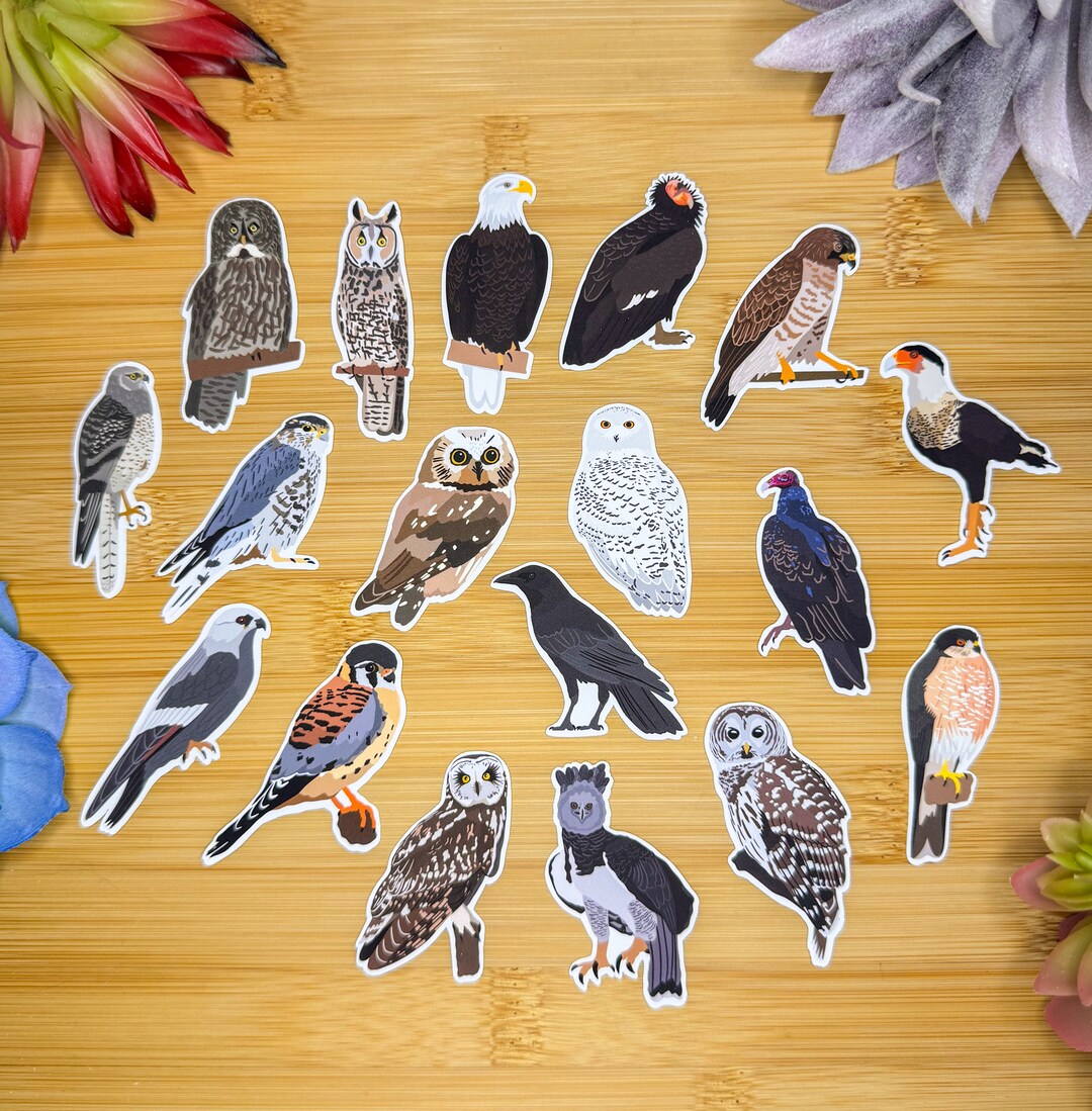 Birds of Prey Sticker Pack, Mini Bird Sticker Pack, Bird Journal ...
