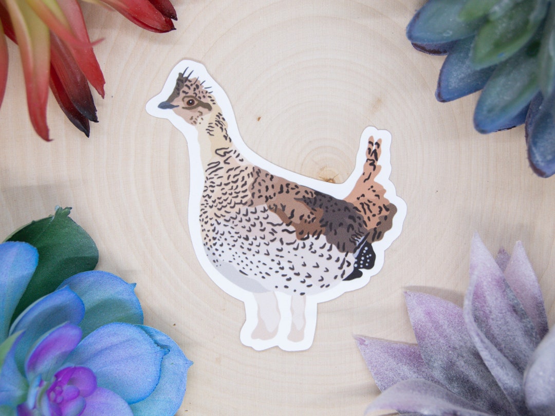 Ruffed Grouse Sticker, Ruffed Grouse Decal, Ruffed Grouse Gift, Ruffed ...