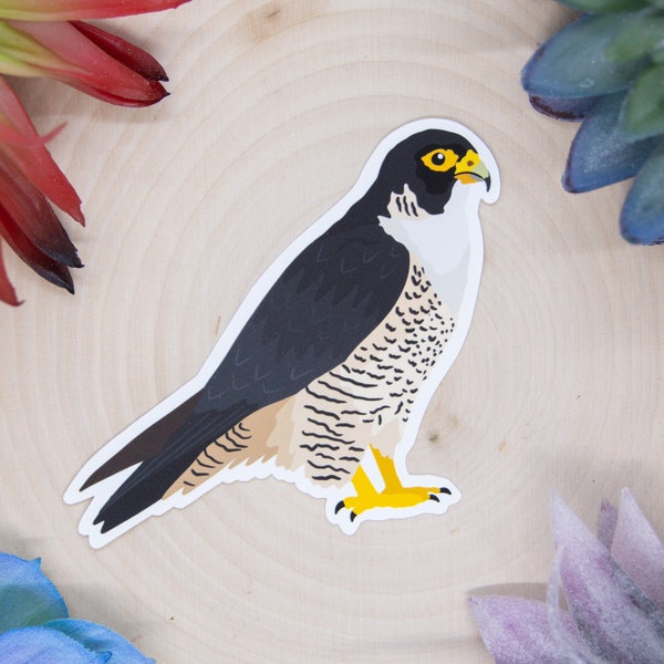 Peregrine Falcon - Etsy