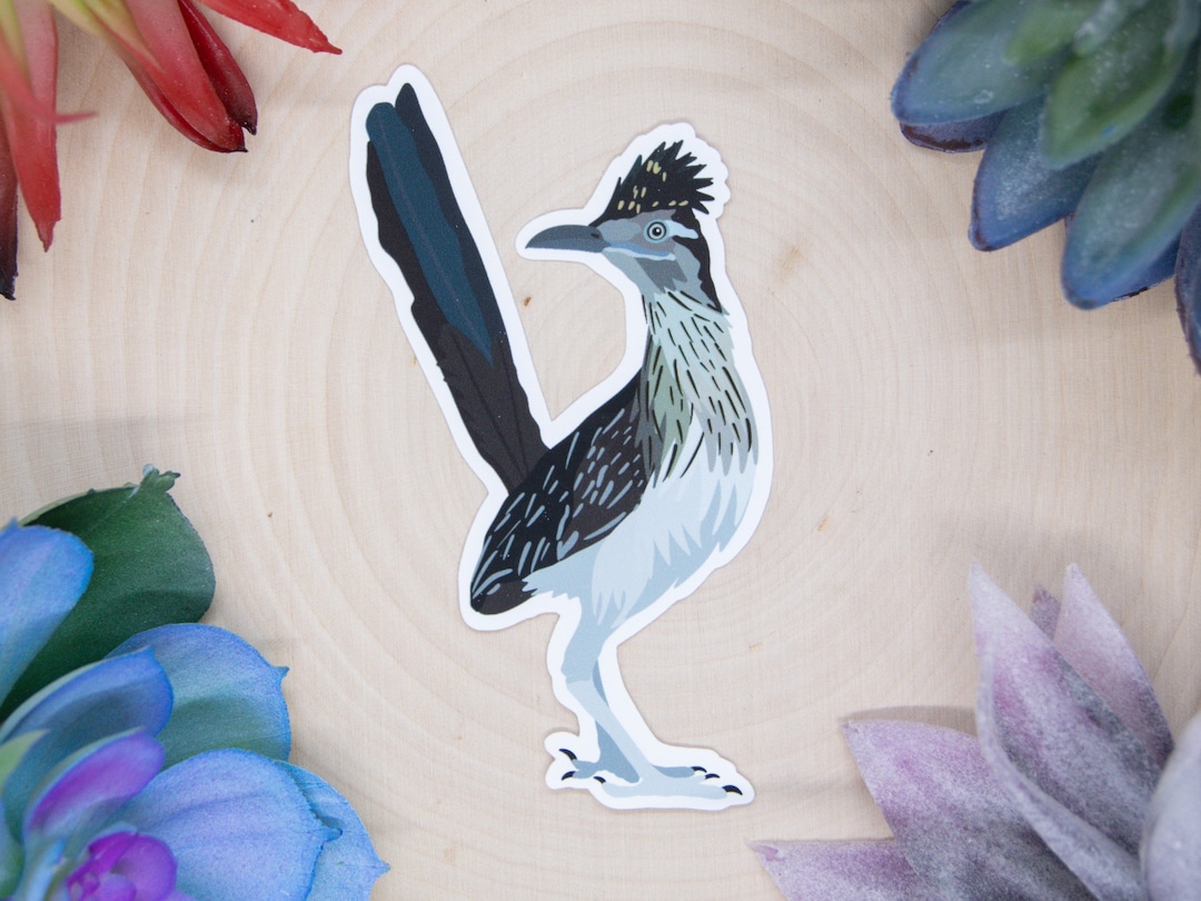 Roadrunner Sticker, Roadrunner Decal, Roadrunner Decor, Roadrunner Gift ...