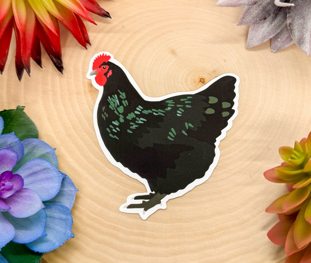 Australorp Chicken Sticker, Australorp Chicken Decal, Leghorn Gift ...