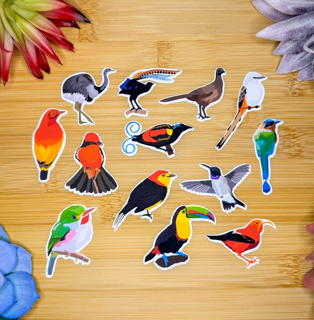 Tropical Birds Sticker Pack, Mini Bird Sticker Pack, Bird Journal ...