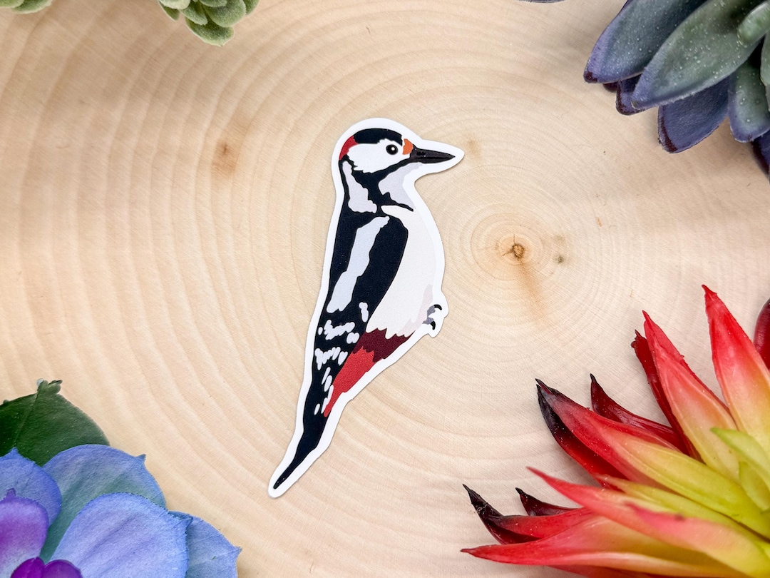 Great Spotted Woodpecker Sticker, Great Spotted Woodpecker Decal, Great ...